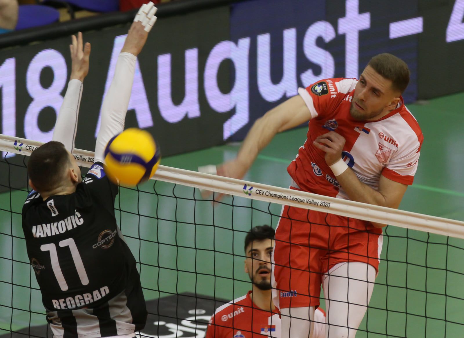 Одбојкаши Војводине узели 18. титулу и обезбедили Лигу шампиона | Dnevnik